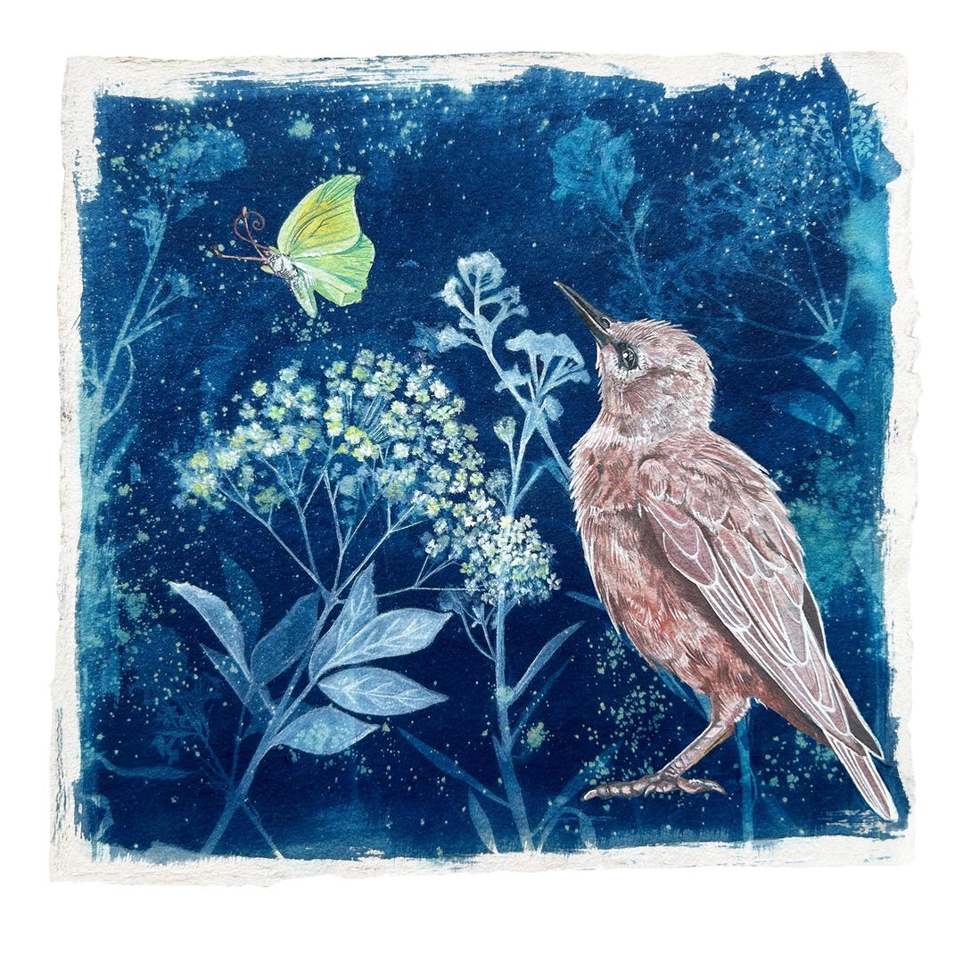 Midnight Wanderer A4 A3 Art Print - Etsy