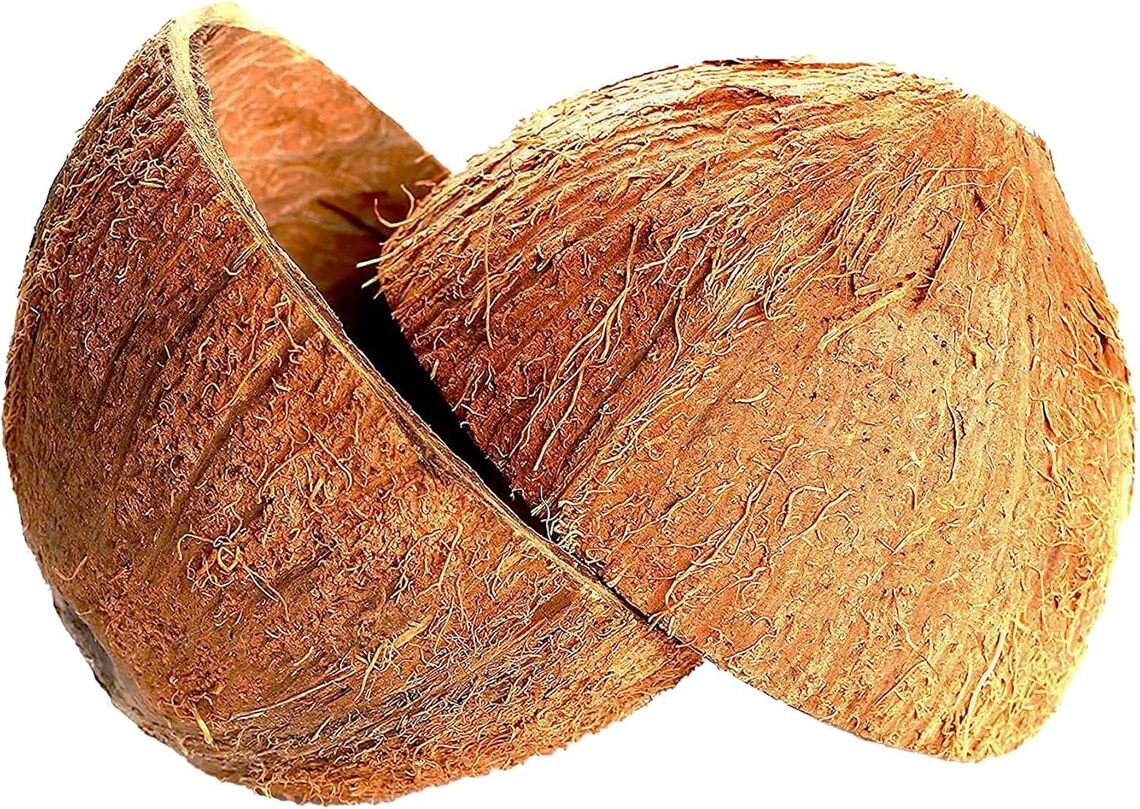 2 Pack Coconut Shell Halves Coconut Shells for Use in Crafts Pet Food ...