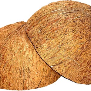 2 Pack Coconut Shell Halves Coconut Shells for Use in Crafts Pet Food ...