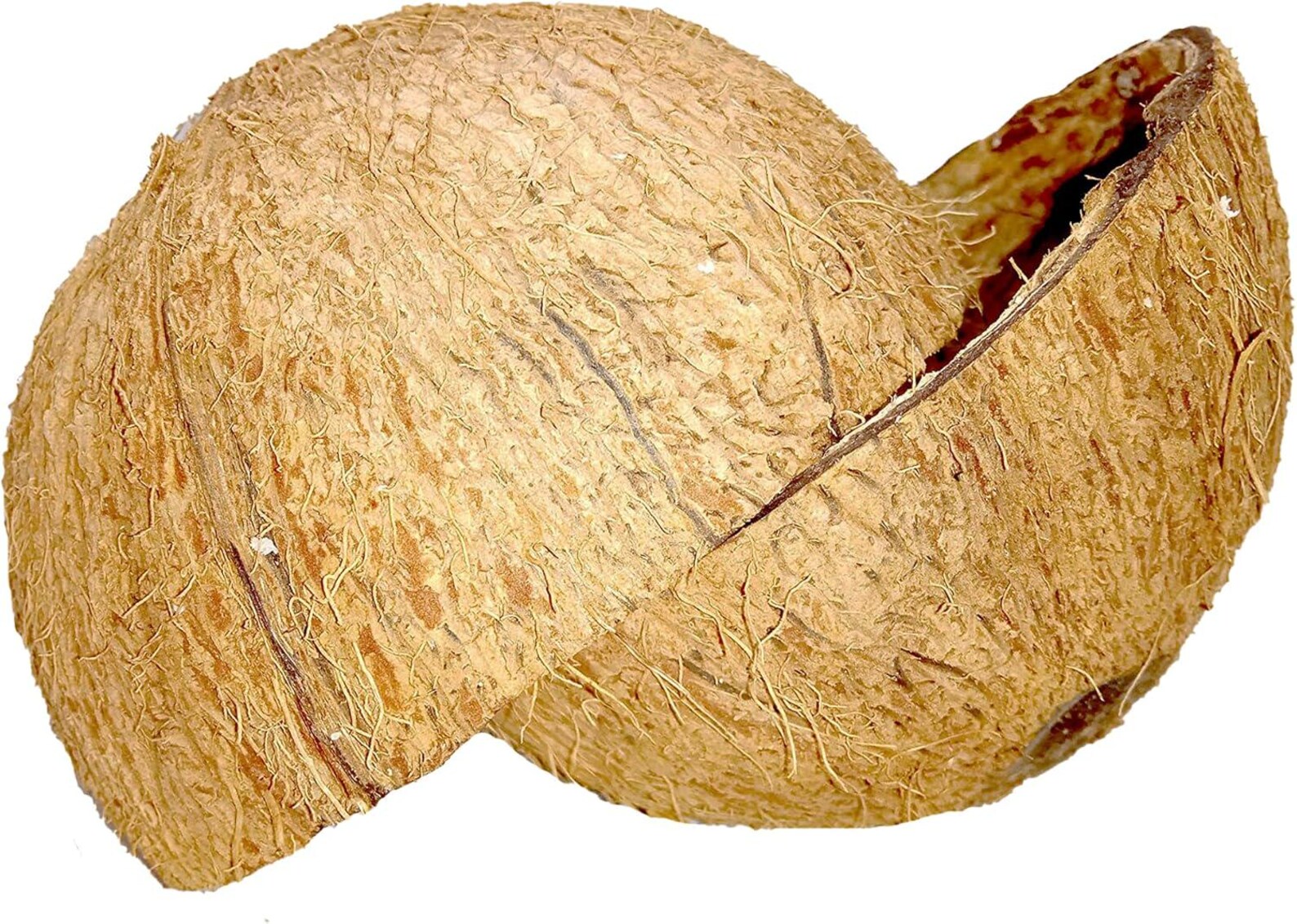 2 Pack Coconut Shell Halves Coconut Shells for Use in Crafts Pet Food ...