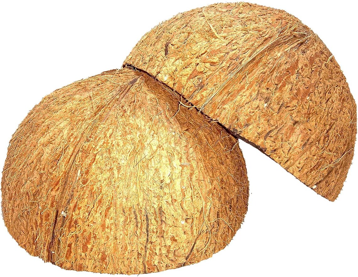 2 Pack Coconut Shell Halves Coconut Shells for Use in Crafts Pet Food ...