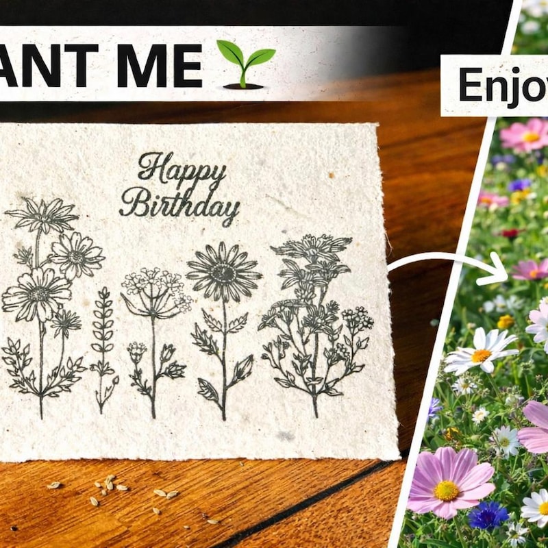 Handmade Plantable Card - Etsy
