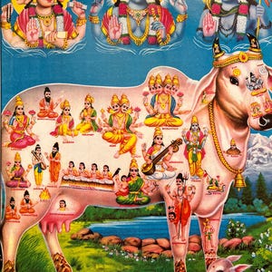 Vintage Indian Religious Poster - Sacred Cow - Etsy