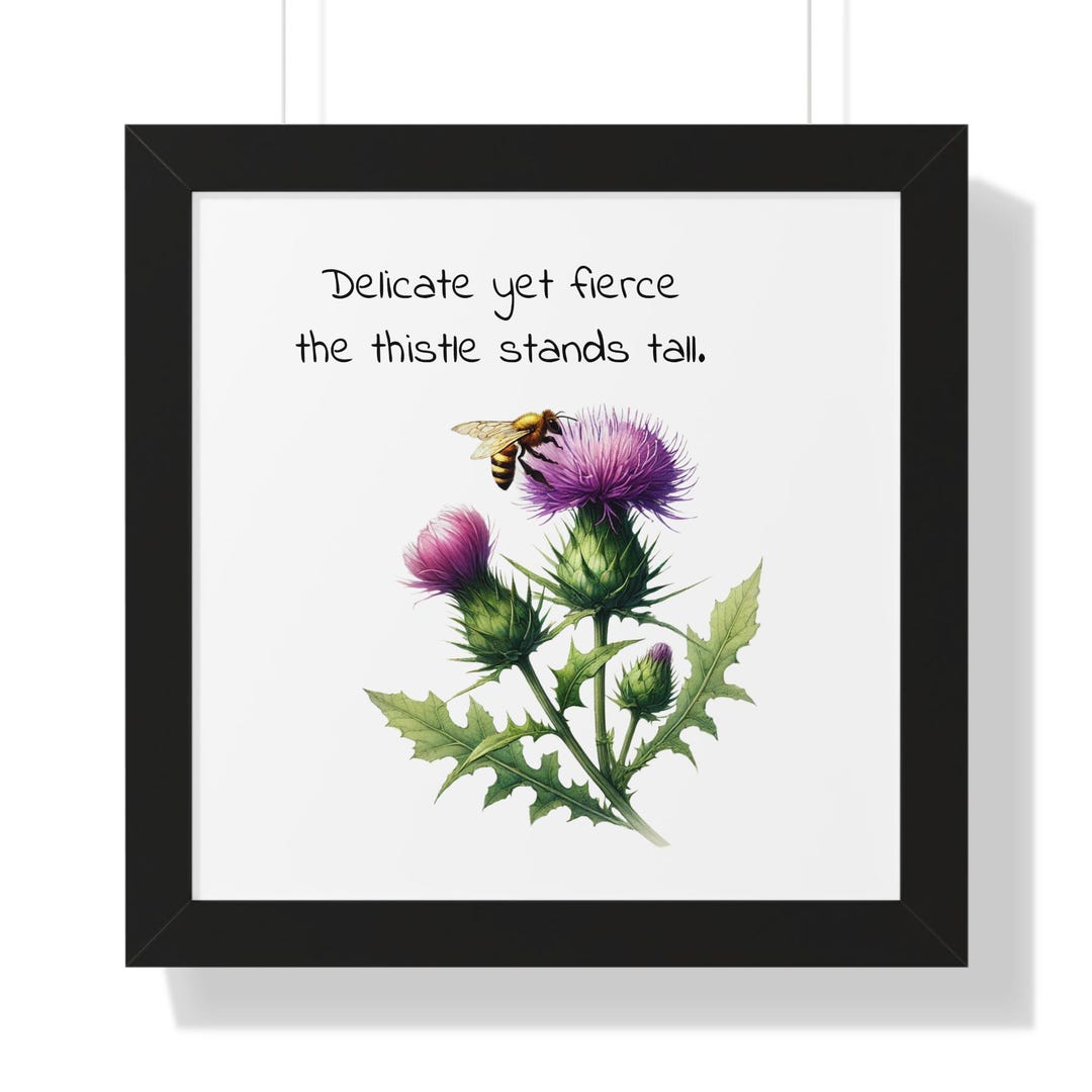 Black Framed 16 X 16 Inch Wall Decor, Scottish Thistle Poster Wall Art ...