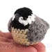 Black-capped Chickadee Bird Toy Plush Tiny Birb Amigurumi - Etsy