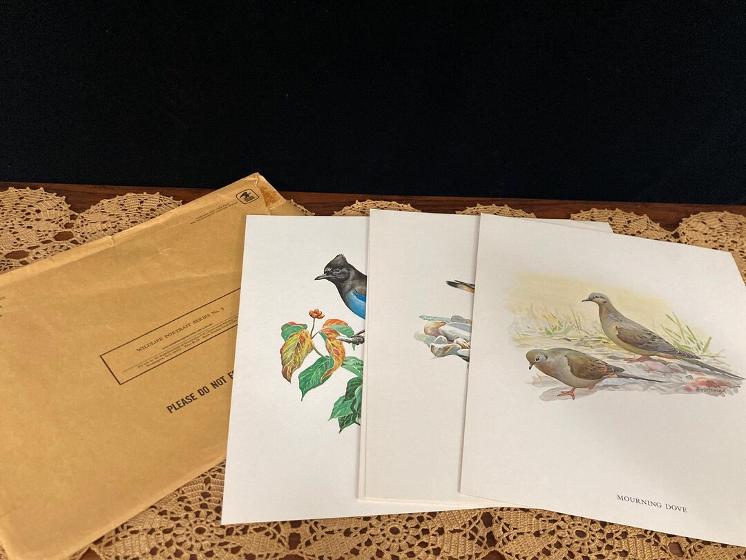 Set of 9 Vintage Bird Prints Wildlife Portrait Series Number 3 Bob ...