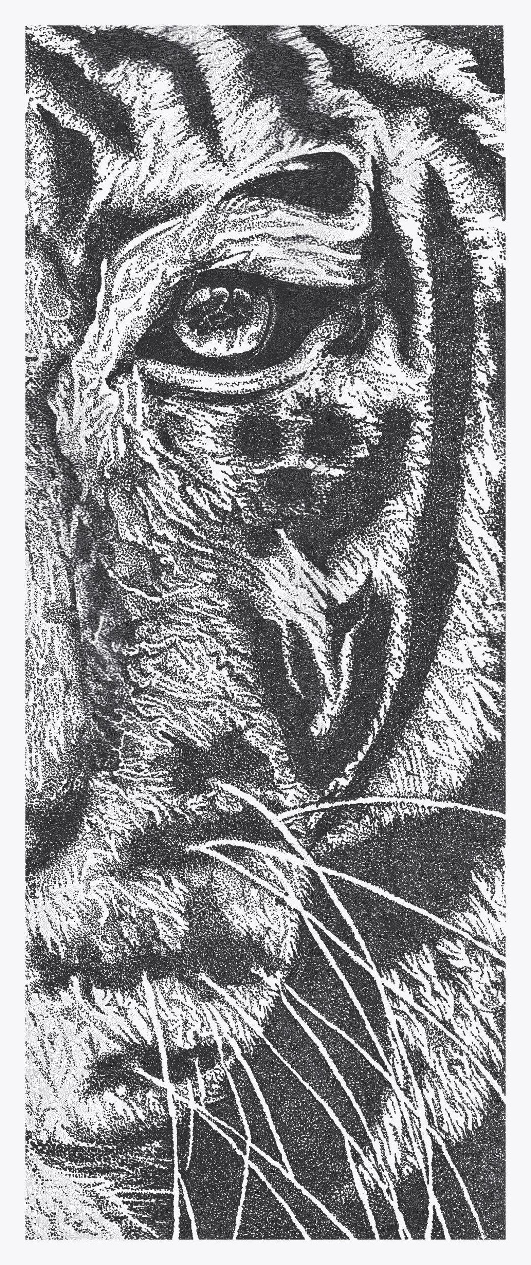 Tiger Art Print, Stippling Technique Black Fine Art Pen, Handmade, Wall ...