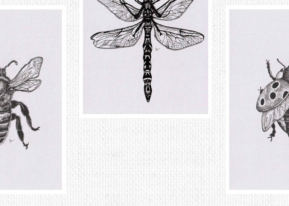 Insect Art Prints Set: Bee, Dragonfly, Ladybird - Stippling Technique ...