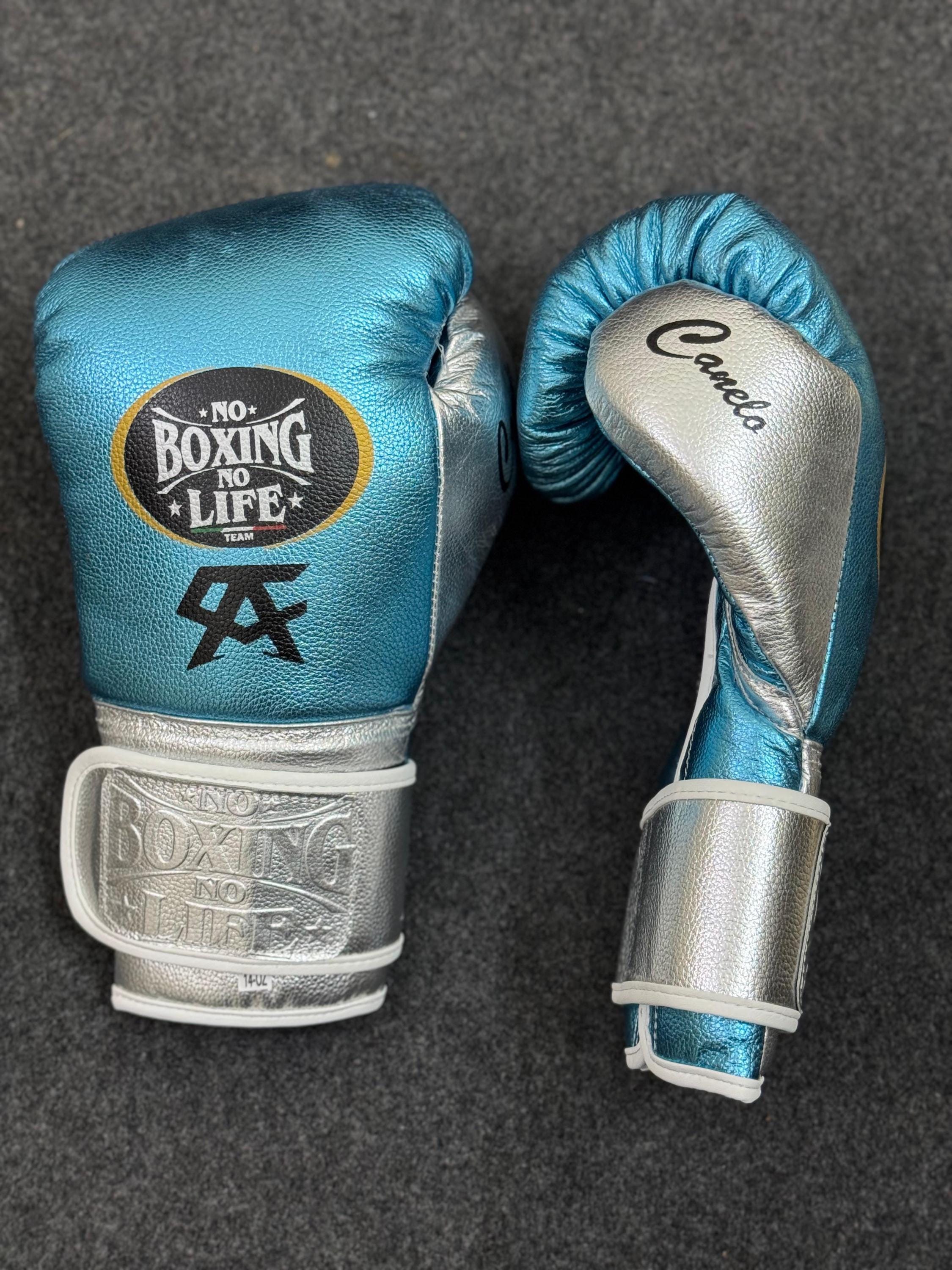 Handmade Boxing Gloves No Boxing No Life Made in Cowhide Leather Silver ...