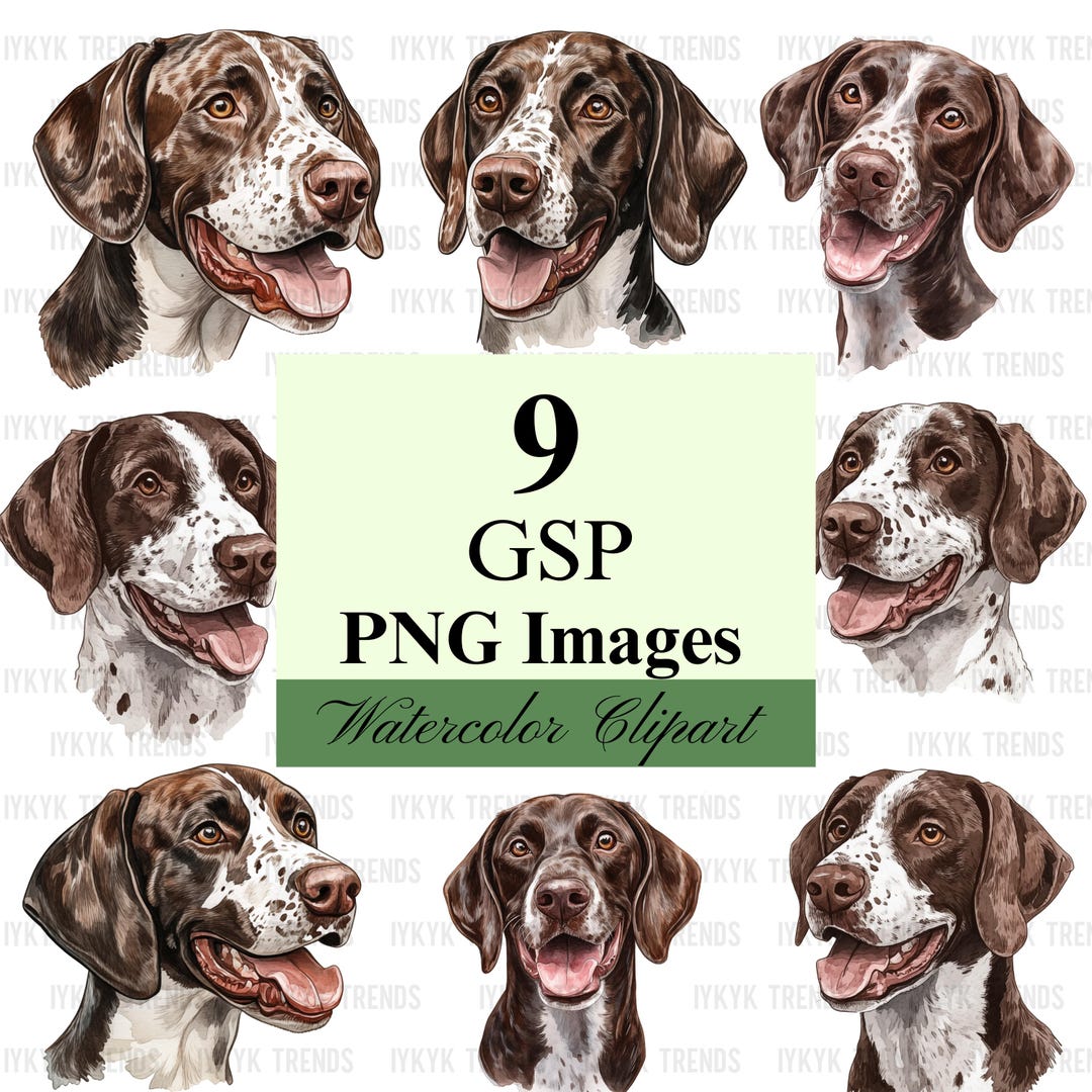 German Shorthaired Pointer Clipart Bundle | GSP Breed Png | Shorthair ...