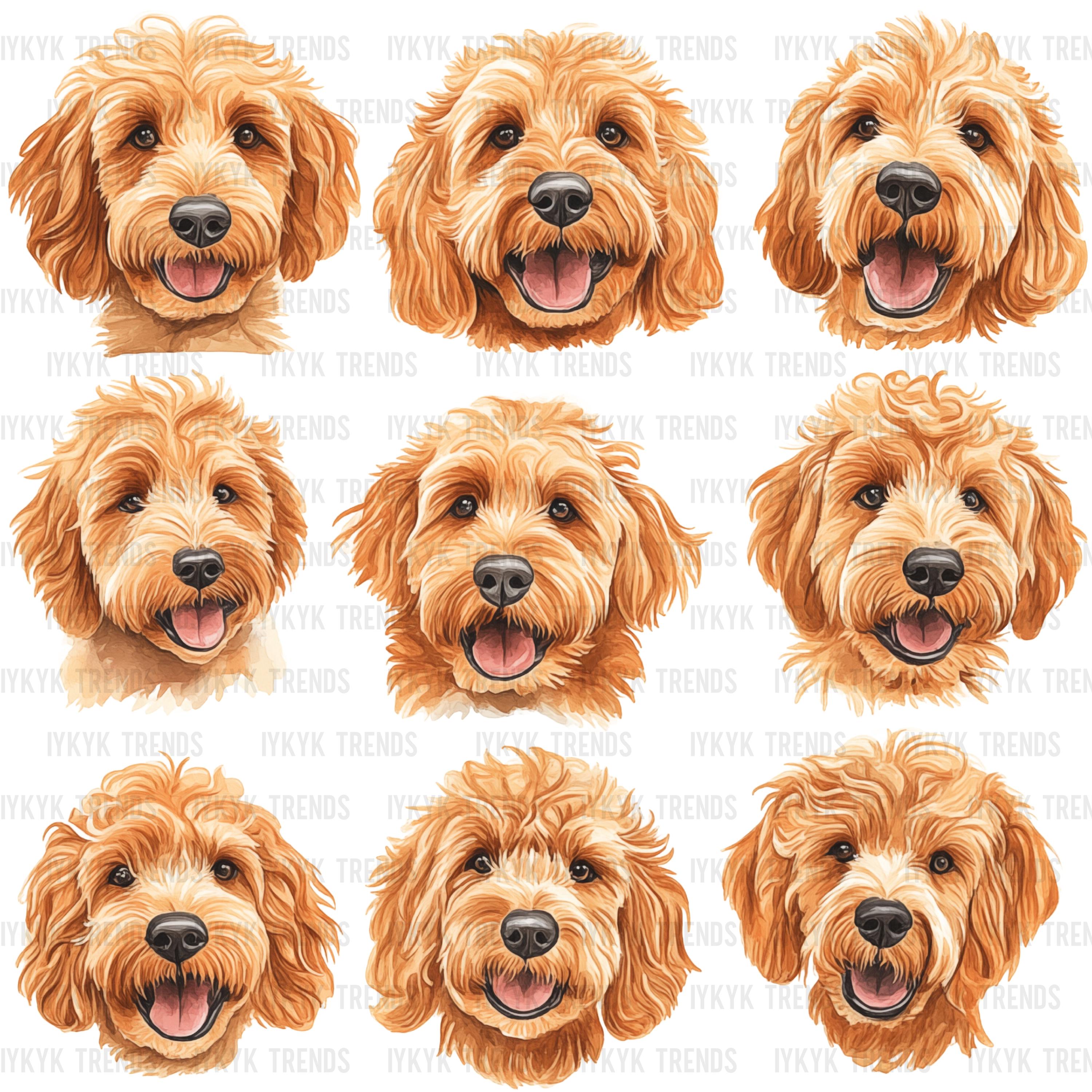 Goldendoodle Watercolor Clipart Bundle | Golden Doodle Portrait Hand ...