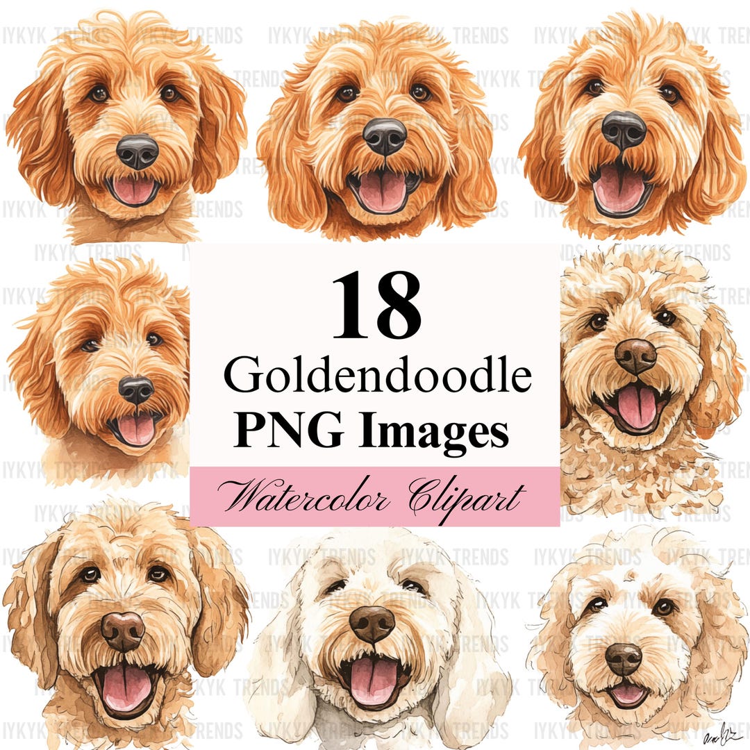 Goldendoodle Watercolor Clipart Bundle | Golden Doodle Portrait Hand ...