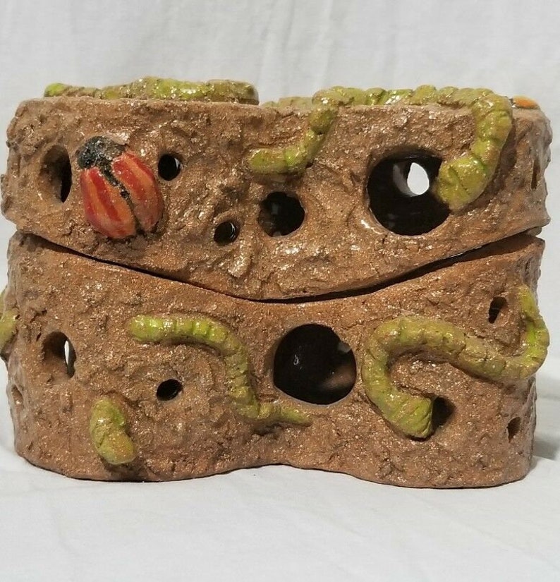 Studio Art the Box of Bugs Ceramic Pottery Signed Worms Bugs - Etsy