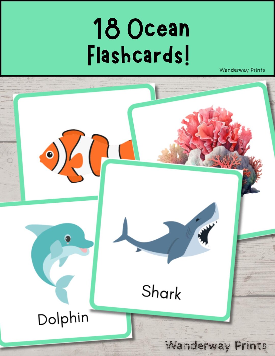 Ocean Flashcards | Printable Flashcards Ocean Animals - Etsy