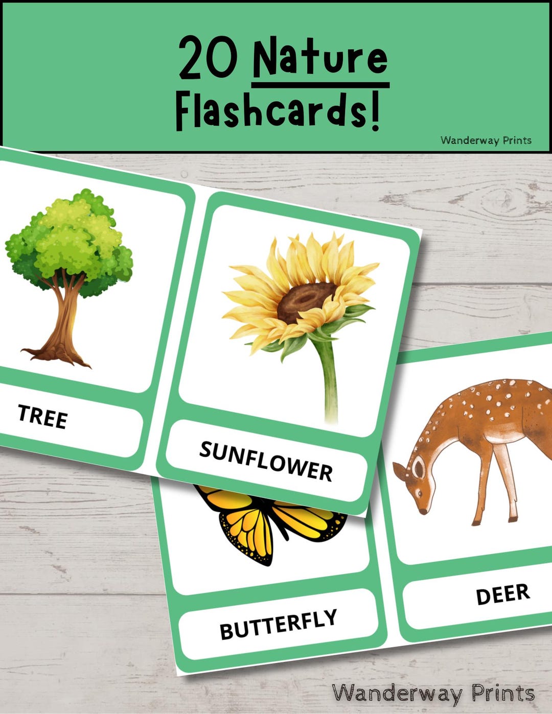 20 Nature Flashcards | Printable Flashcards Nature - Etsy