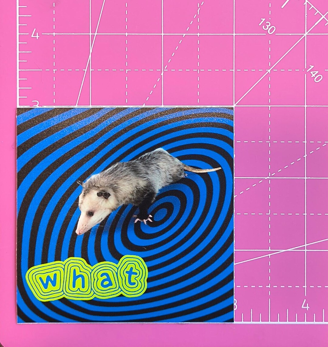 Vinyl Possum Sticker - Etsy