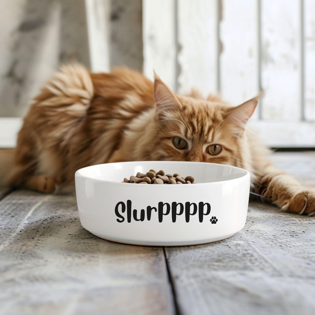 Cute Slurp Dog and Cat Water Bowl Gift for Animal Lovers - Etsy