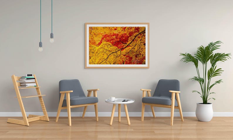 Autumn Maple Leaves, Beautiful Landscape Photograph of Autumn Yellow ...