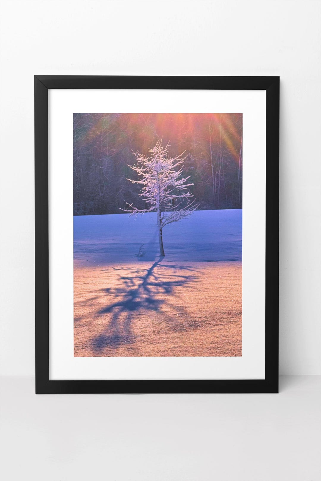Frozen Tree Winter Photography Digital Download New England Winter Wall ...