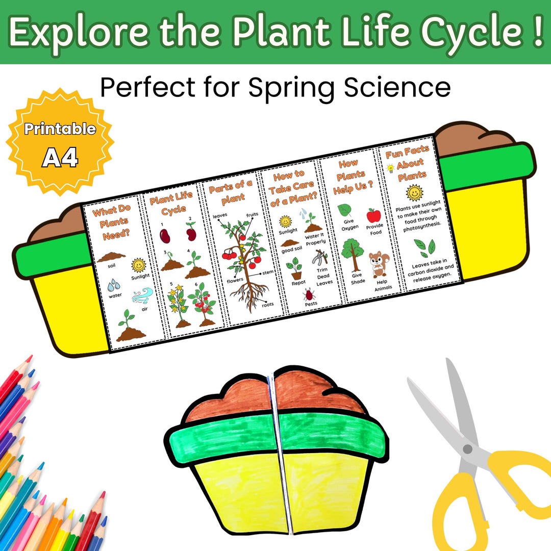Mini Plant Growth Booklet-printable Foldable Activity for Kids-spring ...