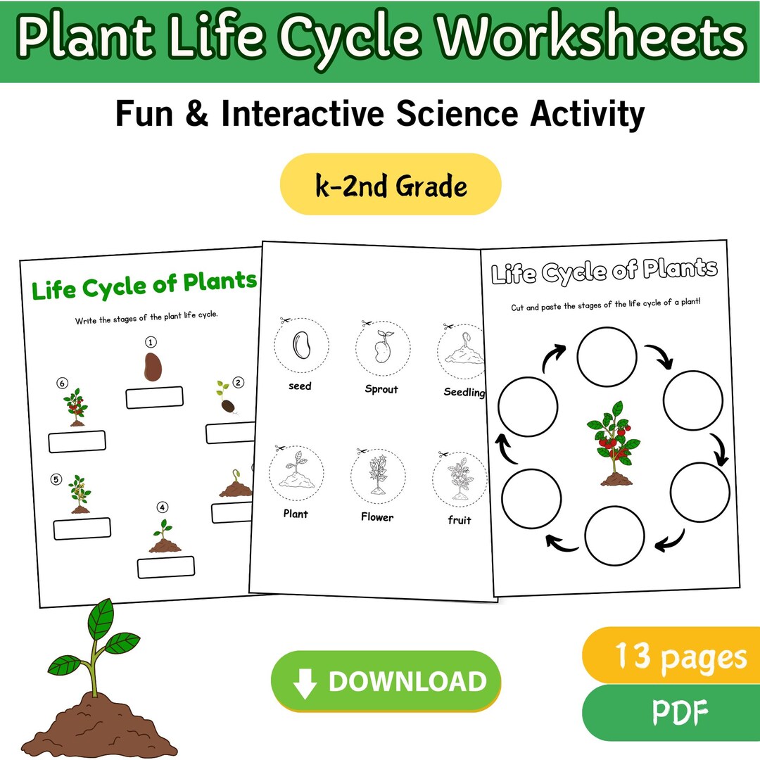Plant Life Cycle Worksheets for Kids – Printable Educational Activities ...