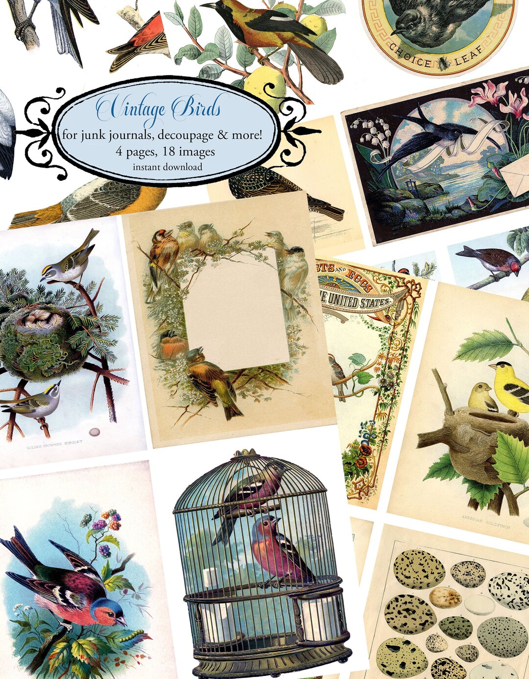 Antique Bird Junk Journal Images Vintage Birds Art Journal Bird Art ...