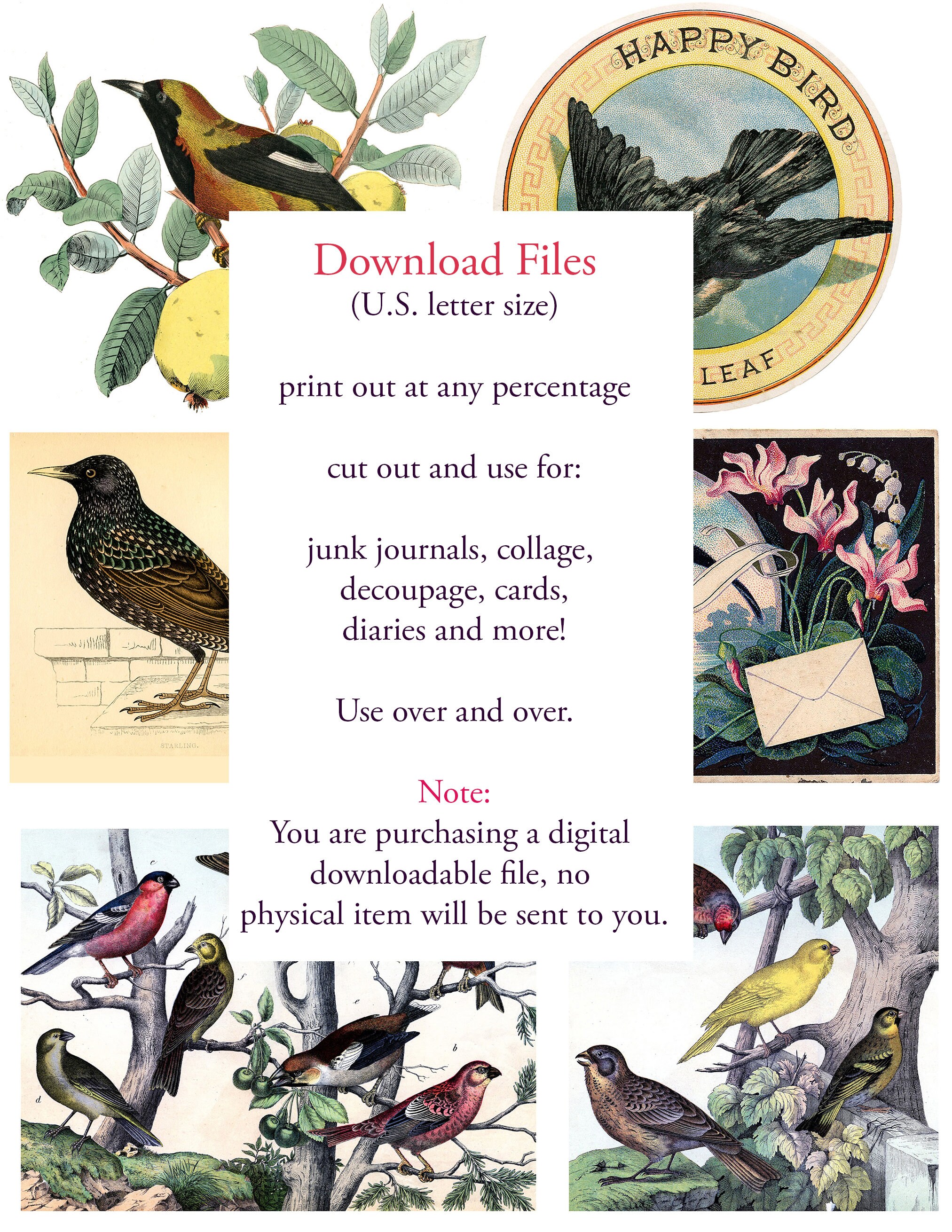 Antique Bird Junk Journal Images Vintage Birds Art Journal Bird Art ...