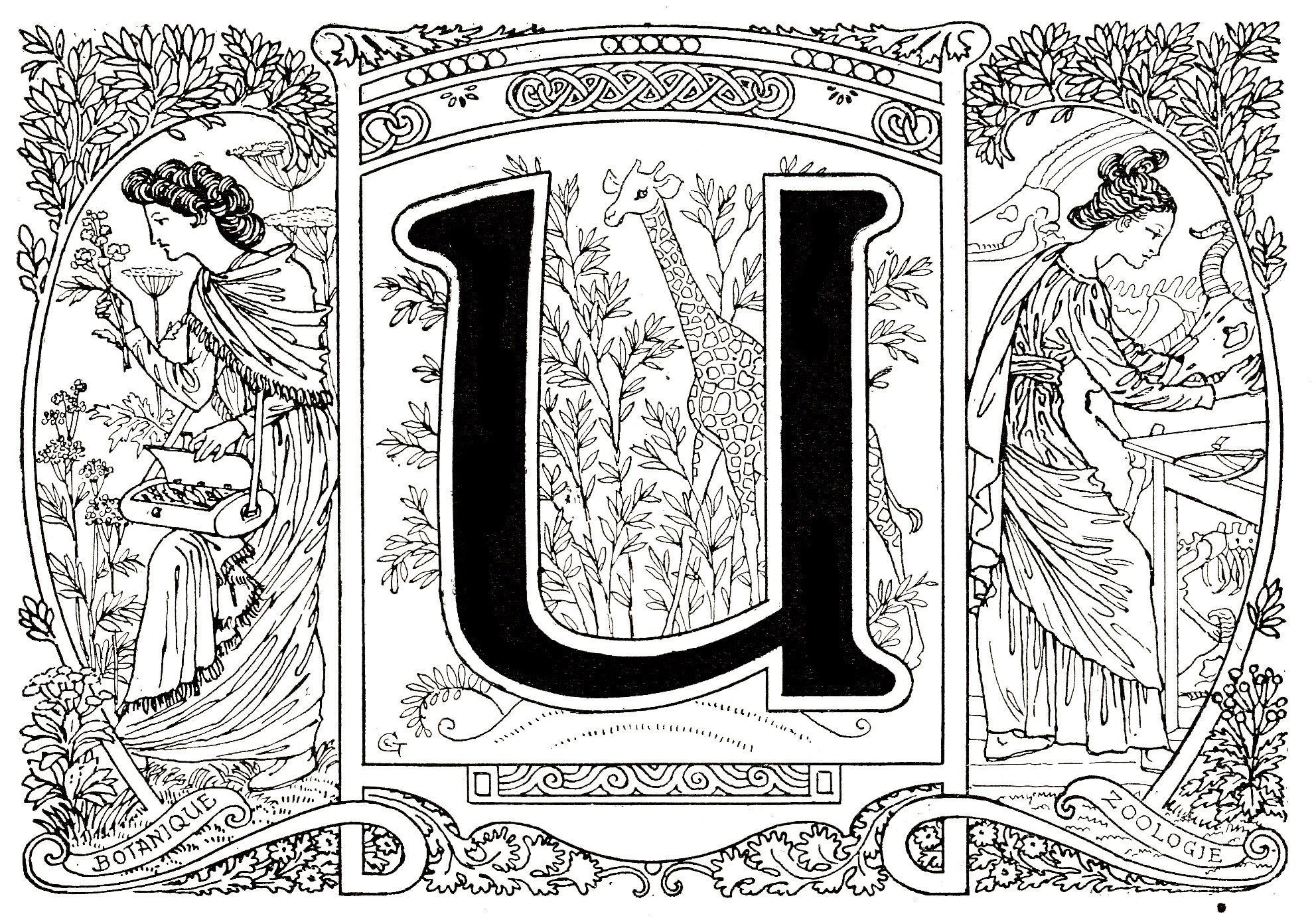 Illuminated Manuscript Letters Classic Illustrations Decorated Initials ...