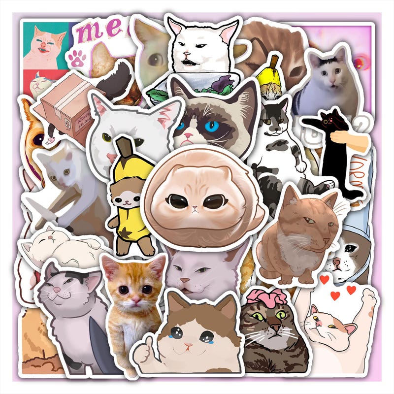 Cat Meme Stickers - Etsy