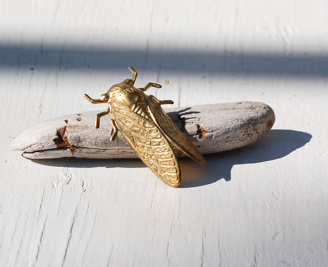 Brass Cicada Brooch: Gold Beetle Tie Tack, Insect Lapel Pin - Etsy