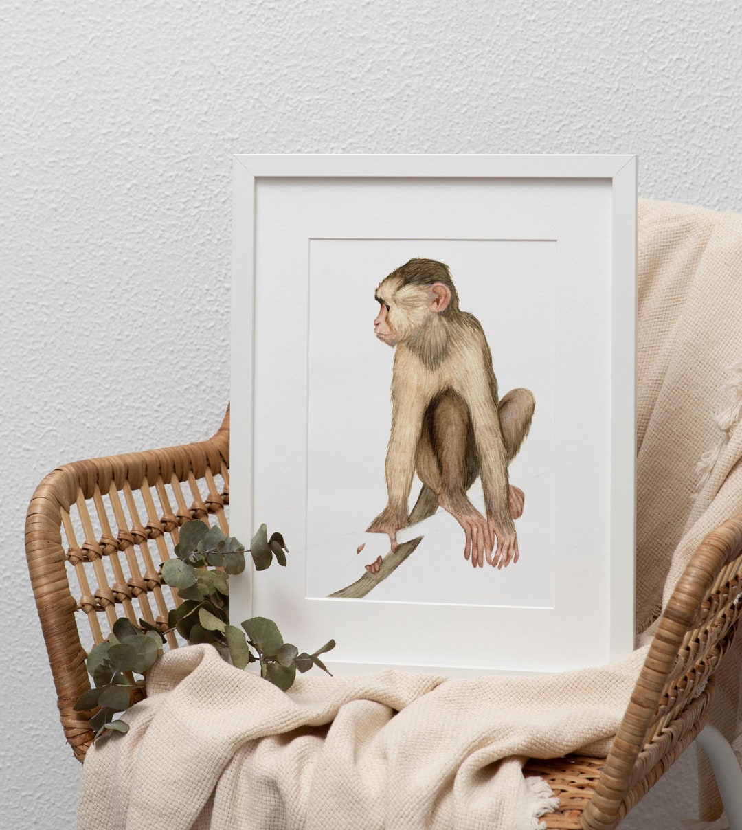 Digital Print Capuchin Monkey. Watercolor Wall Art, Brazil Amazon ...