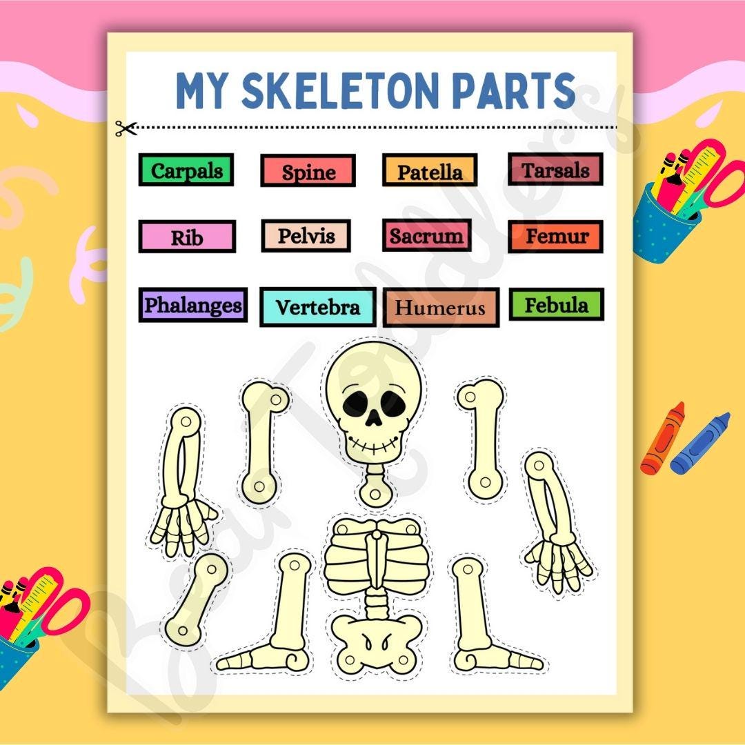 Human Anatomy Busy Book PRINTABLE, Toddler Busy Book Page, Bodypart ...