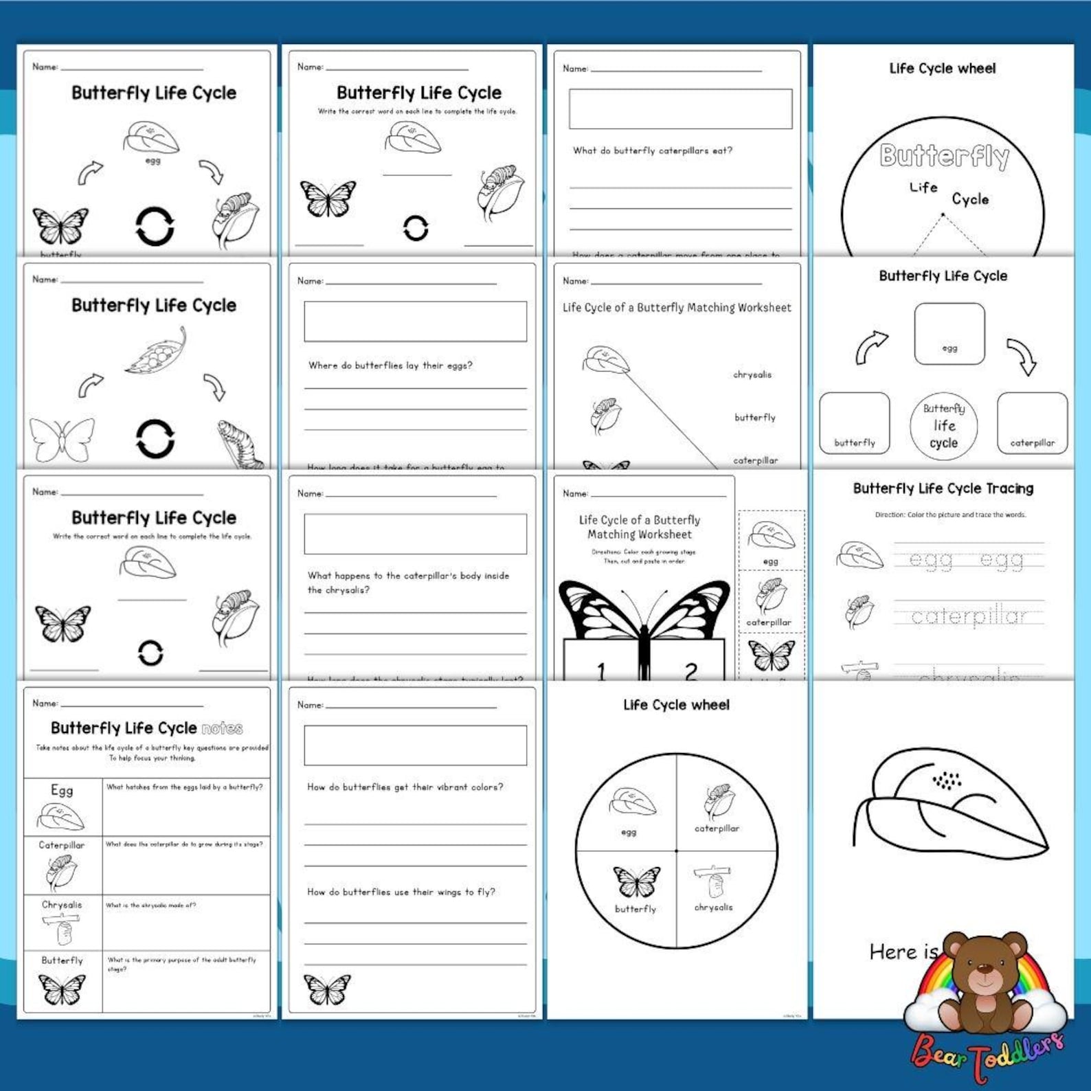 21 Butterfly Life Cycle Kids, Crossword Printable Pdf, Activity Book ...