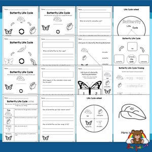 21 Butterfly Life Cycle Kids, Crossword Printable Pdf, Activity Book ...