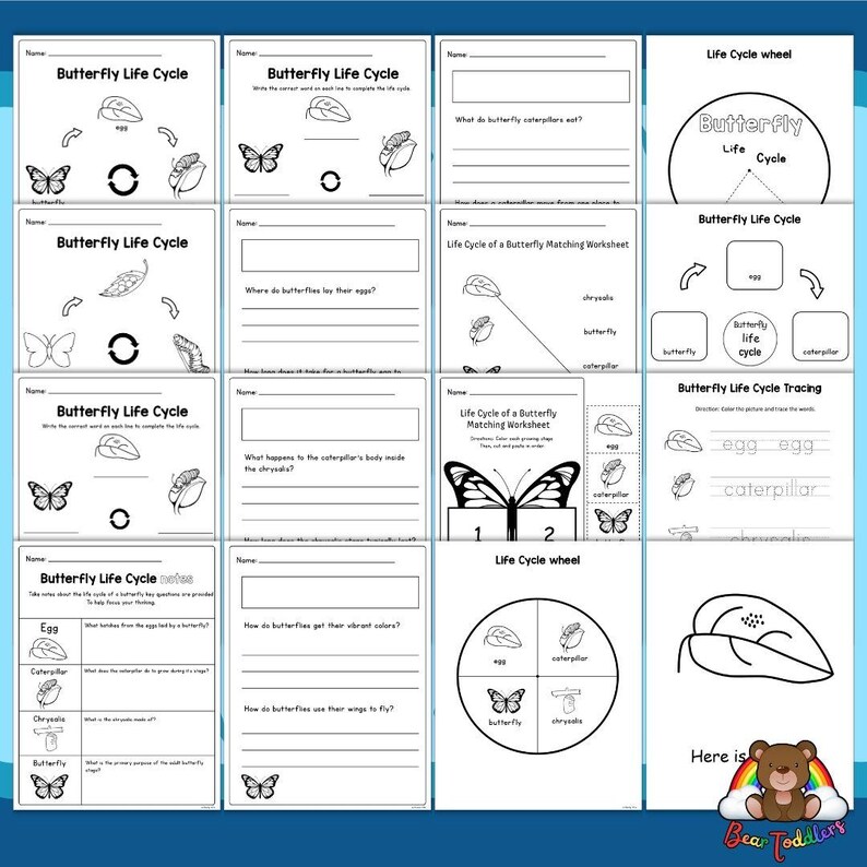 21 Butterfly Life Cycle Kids, Crossword Printable Pdf, Activity Book ...