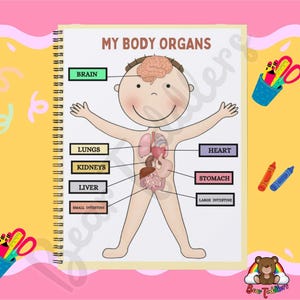 Human Anatomy Busy Book PRINTABLE, Toddler Busy Book Page, Bodypart ...