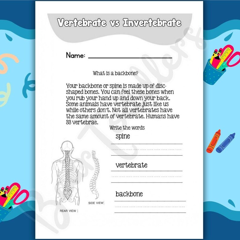 200 Science Preschool Worksheets, Science Worksheet Pdf, Activity Book ...
