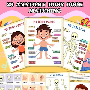 Human Anatomy Busy Book PRINTABLE, Toddler Busy Book Page, Bodypart ...
