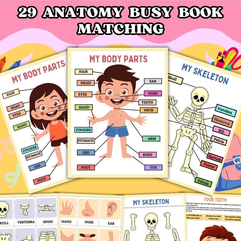 Human Anatomy Busy Book PRINTABLE, Toddler Busy Book Page, Bodypart ...