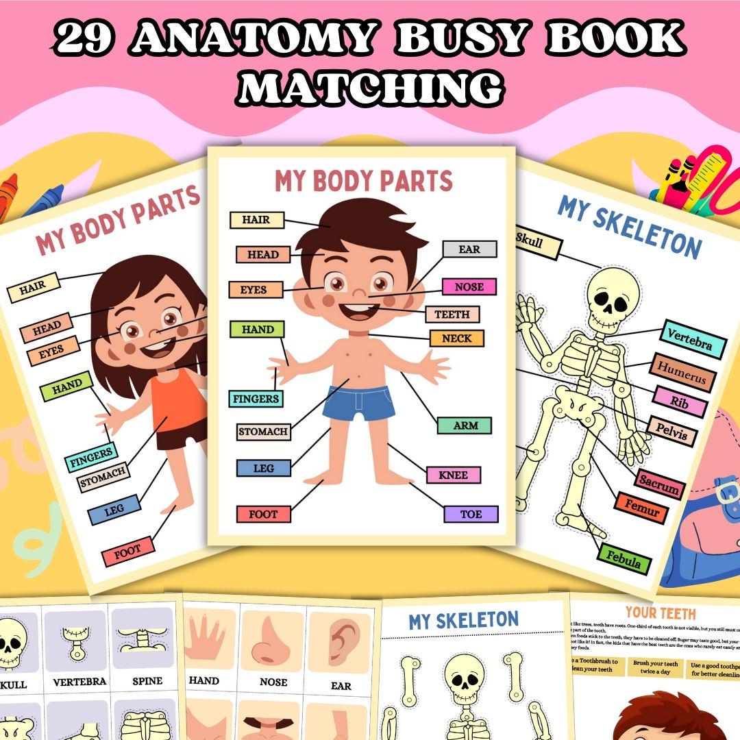 Human Anatomy Busy Book PRINTABLE, Toddler Busy Book Page, Bodypart ...