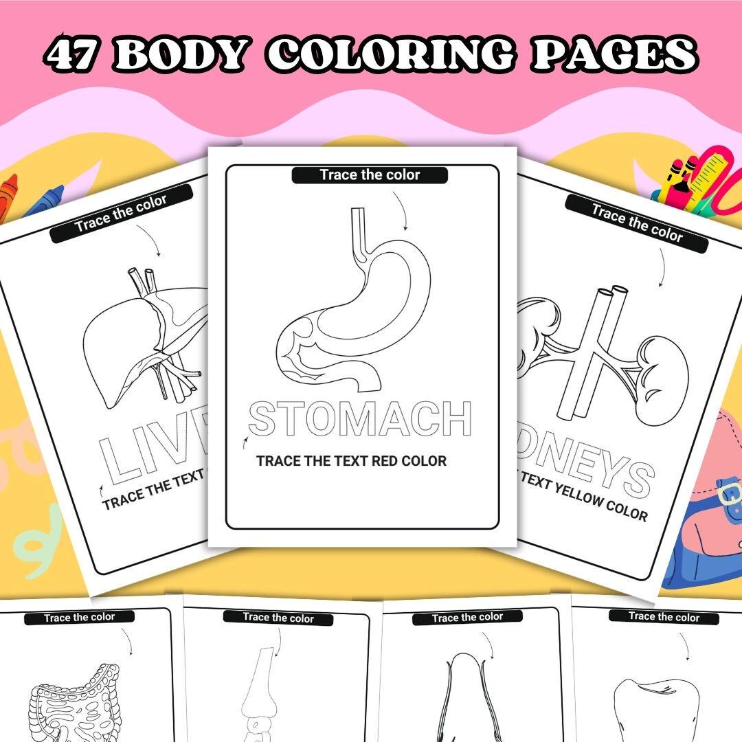 29 Body Part Matching Game, Toddler Busy Book Page, Toddler Workbook ...
