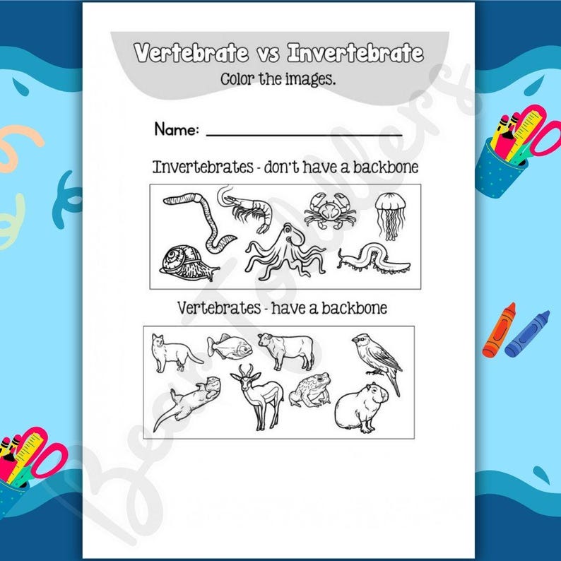 200 Science Preschool Worksheets, Science Worksheet Pdf, Activity Book ...