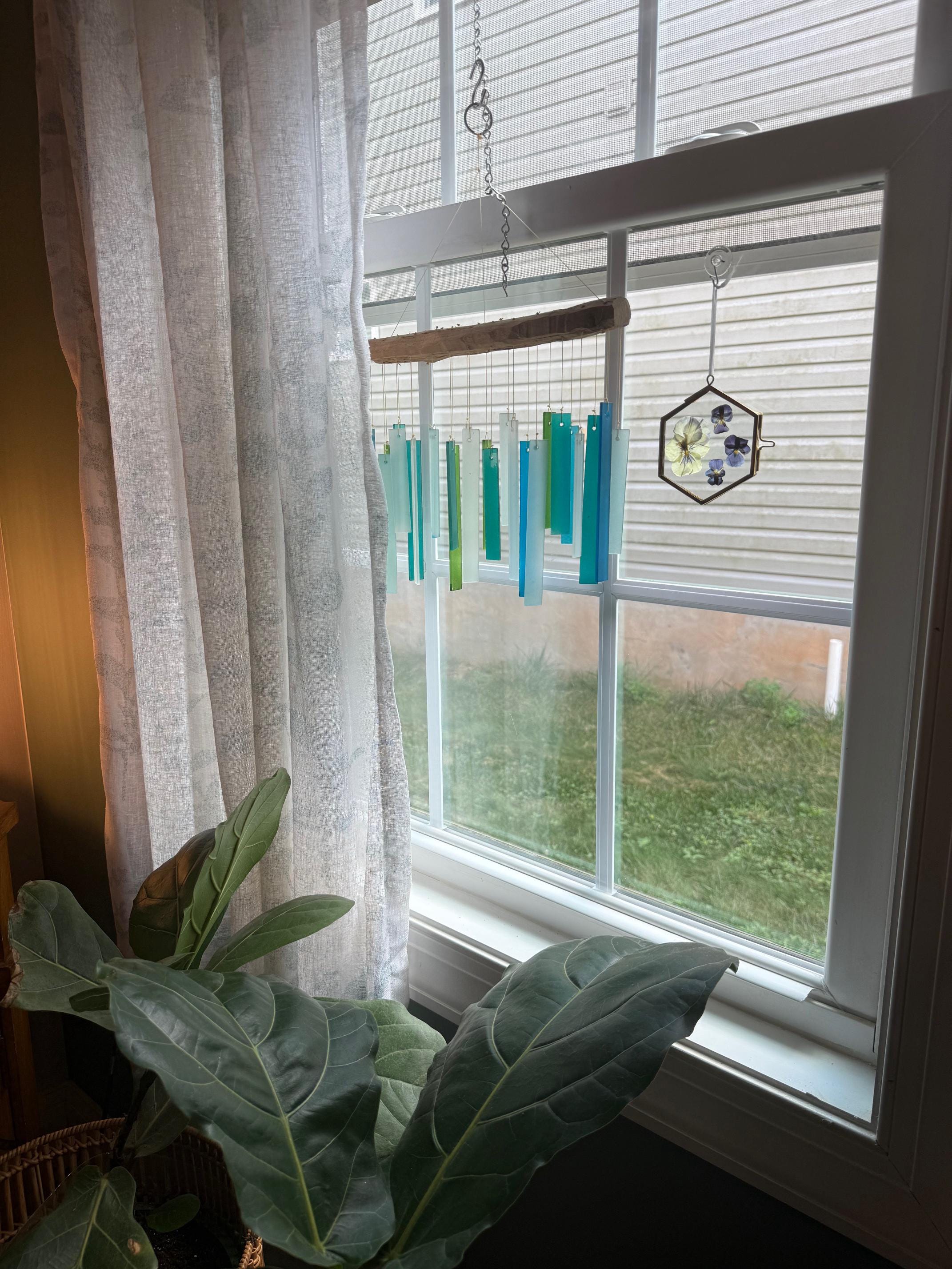 Pressed Garden Blooms | Handcrafted Floating Glass Flower Frames - Etsy