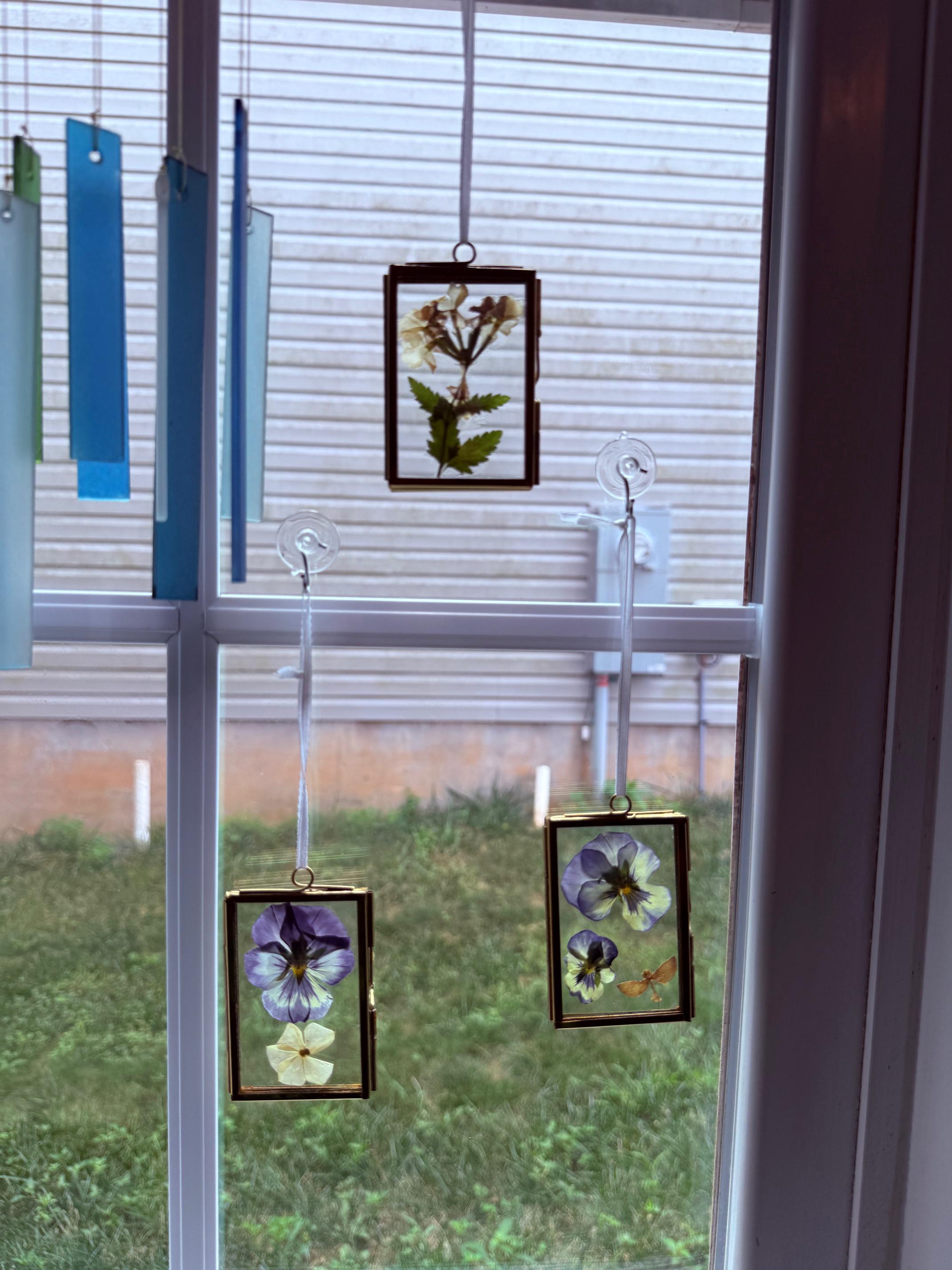 Pressed Garden Blooms | Handcrafted Floating Glass Flower Frames - Etsy