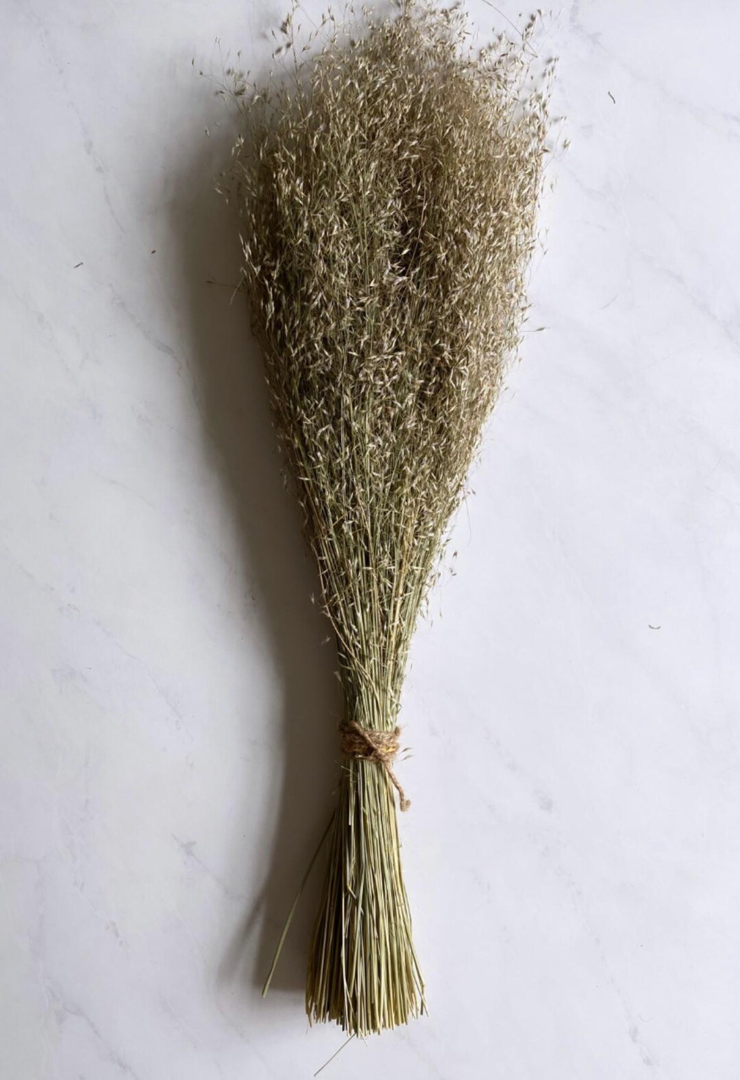Dried Indian Rice Grass - 3 Bundles - Etsy