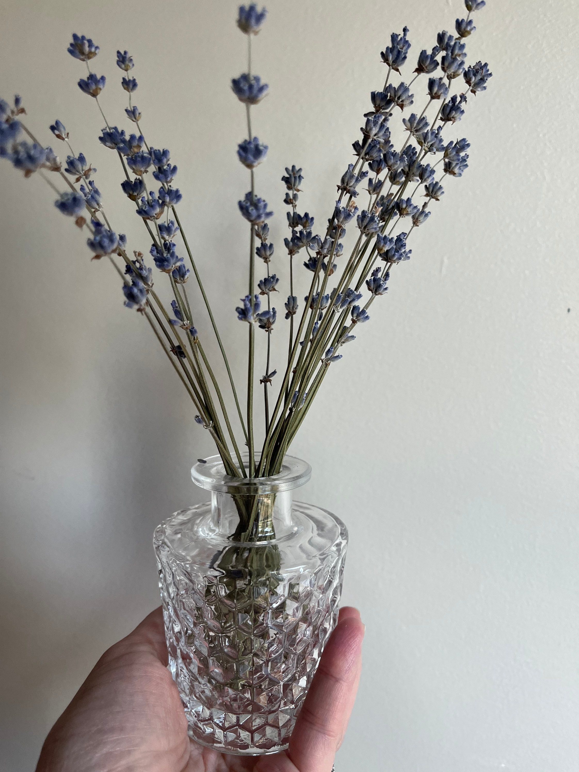 Dried Lavender Aromatherapy Diffuser With Vintage Inspired Bud Vase and ...