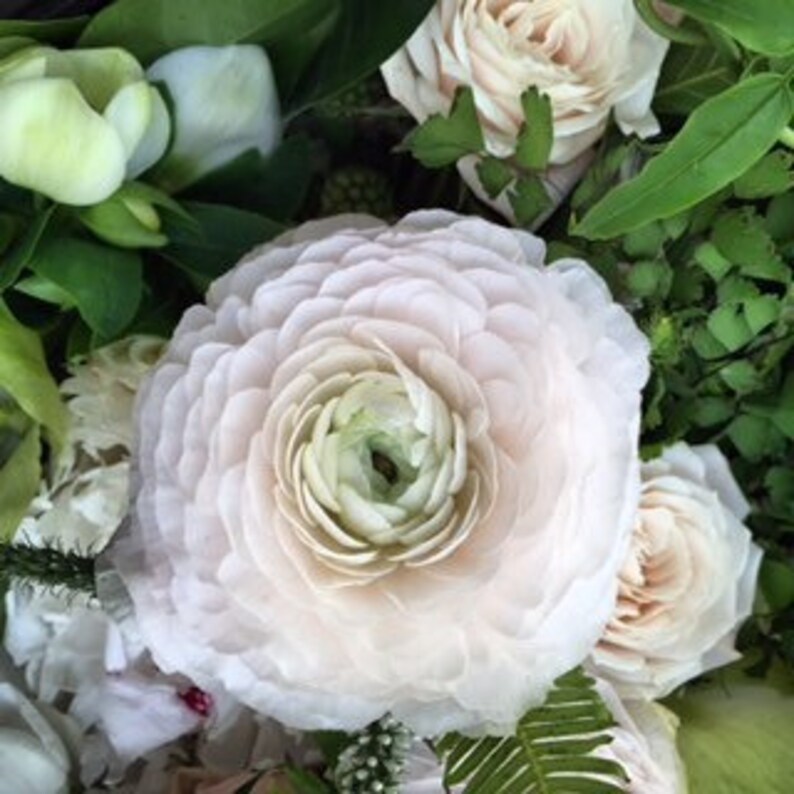 40 Ranunculus. Lovely Holiday Floral Gift | Etsy
