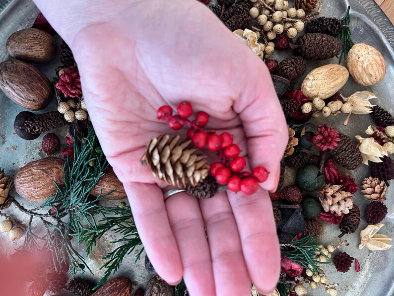 Christmas Tree and Winter Berry Scented Potpourri - Etsy