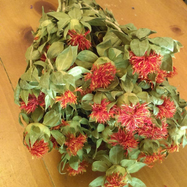 Safflower - Etsy