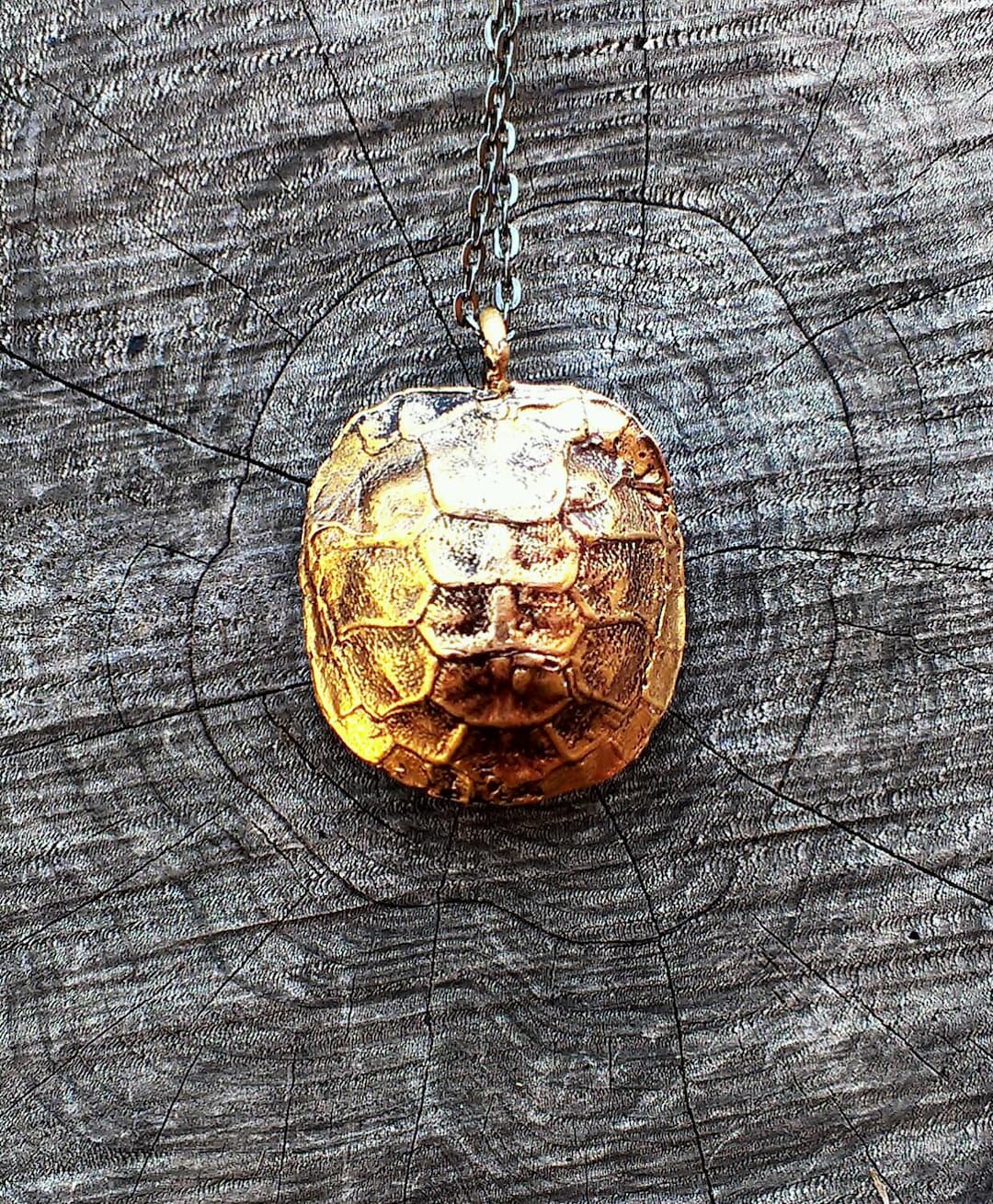 Turtle Shell Necklace- Cast Bronze - Etsy